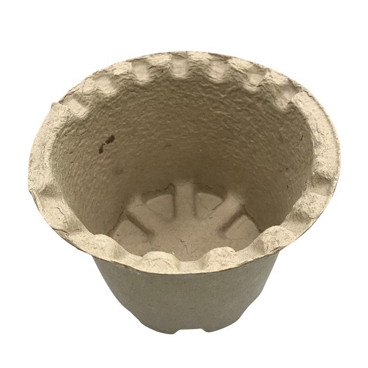 Custom Molded Pulp Inserts | Sustainable Paper Packaging-LVXIN ...