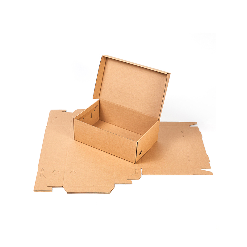 Custom Molded Pulp Inserts | Sustainable Paper Packaging-LVXIN ...