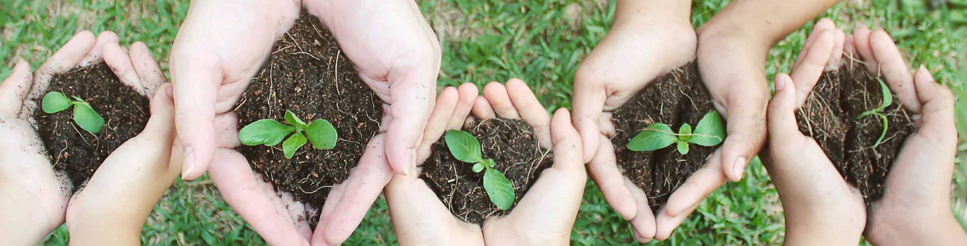 Custom Molded Pulp Inserts | Sustainable Paper Packaging-LVXIN ...